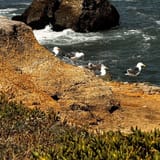 Point Arena-Stornetta Unit of the California Coastal National Monument ...