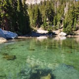 McLeod Lake Trail, California - 947 Reviews, Map | AllTrails