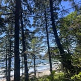 Second Beach, Washington - 1,872 Reviews, Map | AllTrails