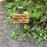 Weatherwax Trail, Washington - 294 Reviews, Map | AllTrails