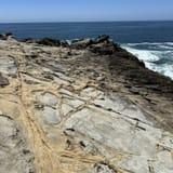 Salt Point Trail to Stump Beach, California - 755 Reviews, Map | AllTrails