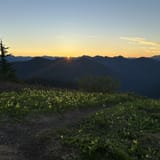 Johnson Ridge Trail, Washington - 291 Reviews, Map | AllTrails