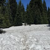 Johnson Ridge Trail, Washington - 291 Reviews, Map | AllTrails