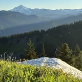 Johnson Ridge Trail, Washington - 291 Reviews, Map | AllTrails