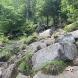 Crane Mountain Loop Hike, New York - 1,380 Reviews, Map | AllTrails