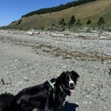 Ebey's Landing Trail, Washington - 2,723 Reviews, Map | AllTrails