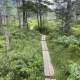Cascade Brook Trail to Lonesome Lake, New Hampshire - 808 Reviews, Map ...