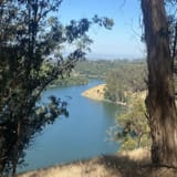 Lake Chabot Loop via West, Bass, Columbine, Honker, East Shore Trails ...