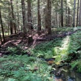 Upper Priest Lake Navigation Trail, Idaho - 251 Reviews, Map | AllTrails