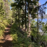 Upper Priest Lake Navigation Trail, Idaho - 251 Reviews, Map | AllTrails