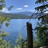 Upper Priest Lake Navigation Trail, Idaho - 251 Reviews, Map | AllTrails