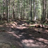 Upper Priest Lake Navigation Trail, Idaho - 251 Reviews, Map | AllTrails