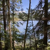 Upper Priest Lake Navigation Trail, Idaho - 251 Reviews, Map | AllTrails
