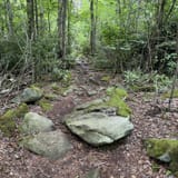 Table Rock, West Virginia - 256 Reviews, Map | AllTrails
