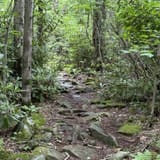 Table Rock, West Virginia - 256 Reviews, Map | AllTrails