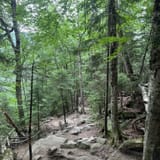 Cascade Brook Trail to Lonesome Lake, New Hampshire - 808 Reviews, Map ...