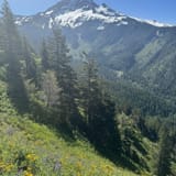 Top Spur and Timberline Loop, Oregon - 800 Reviews, Map | AllTrails