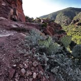 Bell Trail, Arizona - 3,485 Reviews, Map | AllTrails