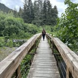 Tonsina Creek Trail, Alaska - 1,601 Reviews, Map | AllTrails