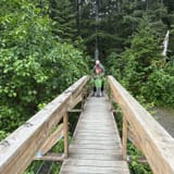 Tonsina Creek Trail, Alaska - 1,601 Reviews, Map | AllTrails