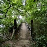Jones Bridge Trail , Georgia - 3,157 Reviews, Map | AllTrails