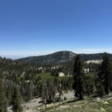 Tamarack Peak Loop, Nevada - 1,065 Reviews, Map | AllTrails