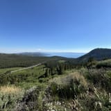 Tamarack Peak Loop, Nevada - 1,065 Reviews, Map | AllTrails