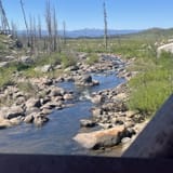 Colorado River and River Run Trail, Colorado - 533 Reviews, Map | AllTrails