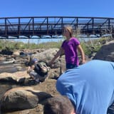 Colorado River and River Run Trail, Colorado - 533 Reviews, Map | AllTrails