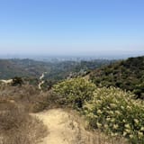 Hollyridge Trail to Hollywood Sign Viewpoint, California - 5,389 ...