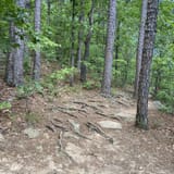 Whitaker Point Trail (Hawksbill Crag), Arkansas - 3,962 Reviews, Map ...