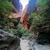 Spring Creek Canyon, Utah - 1,417 Reviews, Map | AllTrails