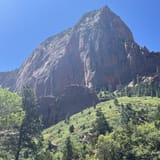 Middle Fork Taylor Creek Trail, Utah - 3,543 Reviews, Map | AllTrails