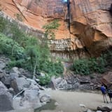 Kayenta Trail to the Emerald Pools, Utah - 3,848 Reviews, Map | AllTrails