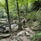 Boone Fork Trail, North Carolina - 3,393 Reviews, Map | AllTrails