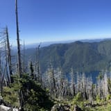 Mount Rose Trail, Washington - 1,380 Reviews, Map | AllTrails