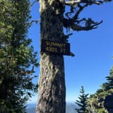 Mount Rose Trail, Washington - 1,393 Reviews, Map | AllTrails
