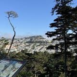 Stow Lake and Strawberry Hill Loop, California - 1,339 Reviews, Map ...