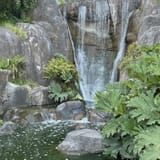 Stow Lake and Strawberry Hill Loop, California - 1,286 Reviews, Map ...