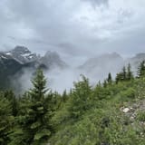 Wind Ridge Trail, Alberta, Canada - 1,297 Reviews, Map | AllTrails