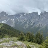 Wind Ridge Trail, Alberta, Canada - 1,297 Reviews, Map | AllTrails