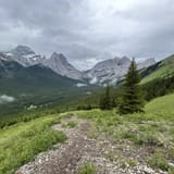 Wind Ridge Trail, Alberta, Canada - 1,297 Reviews, Map | AllTrails