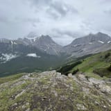 Wind Ridge Trail, Alberta, Canada - 1,297 Reviews, Map | AllTrails