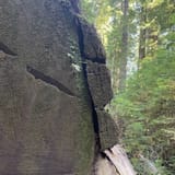 Rockefeller Loop Trail, California - 715 Reviews, Map | AllTrails