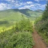 Apgar Lookout, Montana - 1,977 Reviews, Map | AllTrails