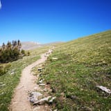 Mount Chapin, Chiquita, and Ypsilon Mountain via Chapin Pass Trail ...