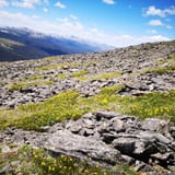 Mount Chapin, Chiquita, and Ypsilon Mountain via Chapin Pass Trail ...