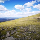 Mount Chapin, Chiquita, and Ypsilon Mountain via Chapin Pass Trail ...