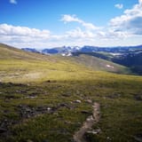 Mount Chapin, Chiquita, and Ypsilon Mountain via Chapin Pass Trail ...