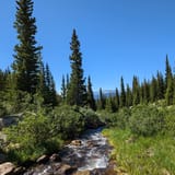 Loch Lomond Trail, Colorado - 2,721 Reviews, Map | AllTrails
